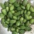 Pickled micro cucumbers — Bio